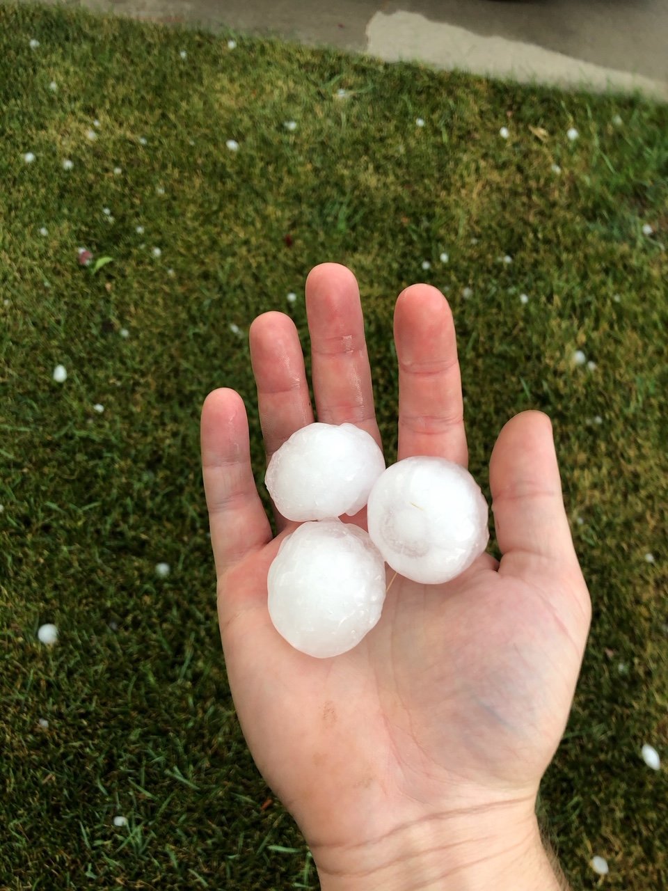 Availability of Hail Damage Paintless Dent Repair (PDR) Services